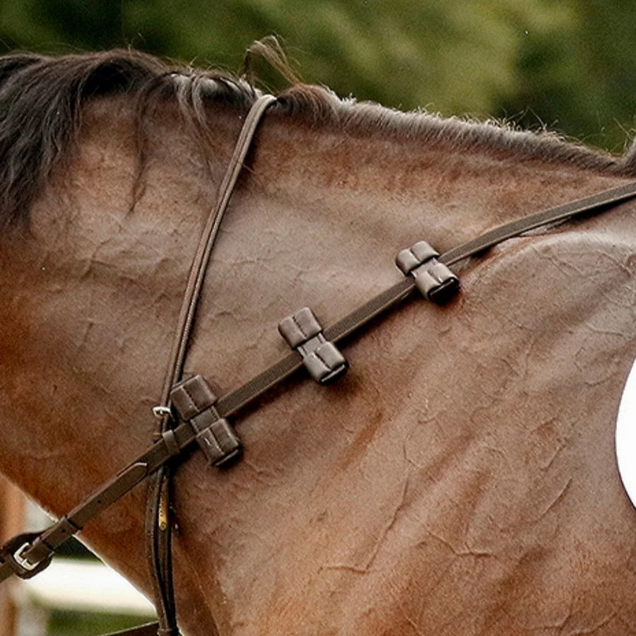 Correct Connect Aaron Vale Rein with 3 Padded Hand Grips – Fair Hill Saddlery