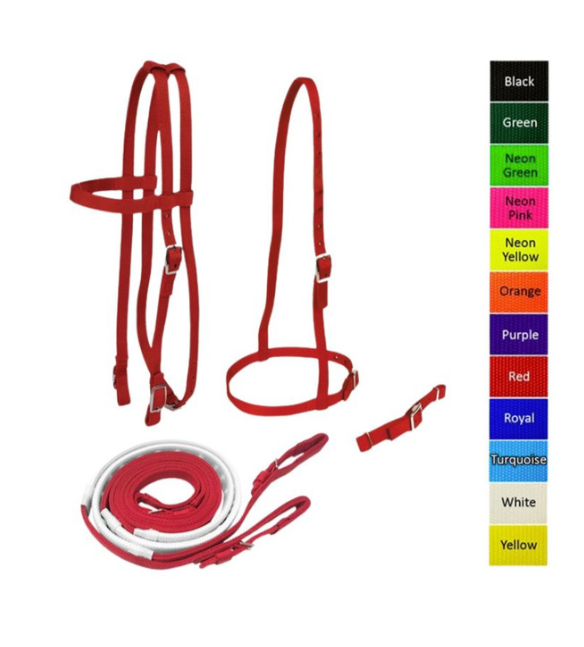 Race Bridle Set with Buckle Reins – Fair Hill Saddlery