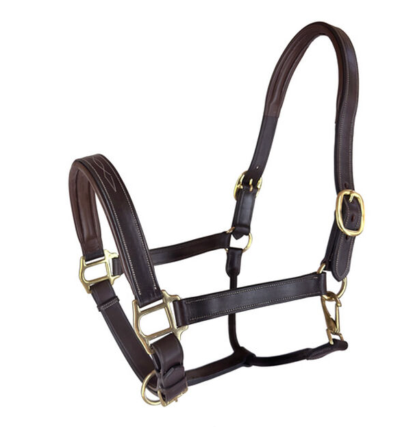 RHC Padded Leather Halter with Fancy Double Stitch – Fair Hill Saddlery