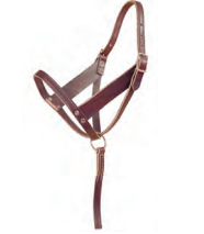 Tory Foal Slip Halter with Catch Strap and Wide Cheeks – Fair Hill Saddlery