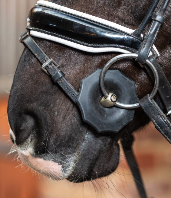 LeMieux Contoured Rubber Bit Guard – Fair Hill Saddlery