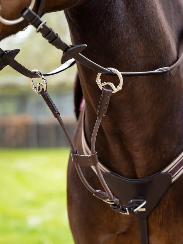 LeMieux Elasticated Martingale Attachment – Fair Hill Saddlery