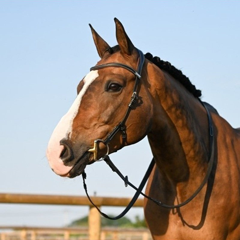 Jump'In One Collection Liberty Bridle – Fair Hill Saddlery