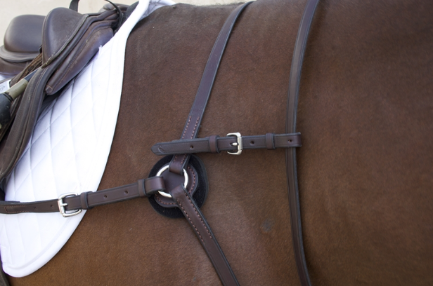Nunn Finer Breastplate Attachment with Neck Strap Black/Zinc Hardware ...