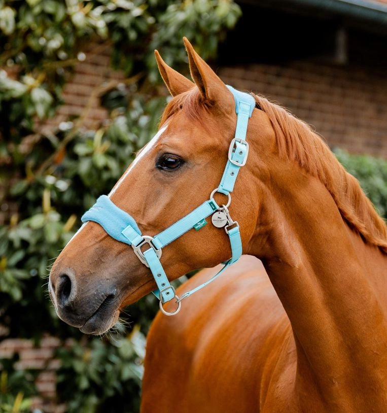 Horseware Signature Grooming Halter – Fair Hill Saddlery