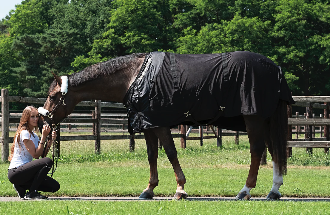 Back On Track Therapeutic Mesh Sheet – Fair Hill Saddlery