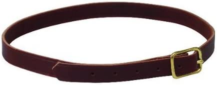 Perri's Leather Horse Neck Strap 7/8" x 40" – Fair Hill Saddlery
