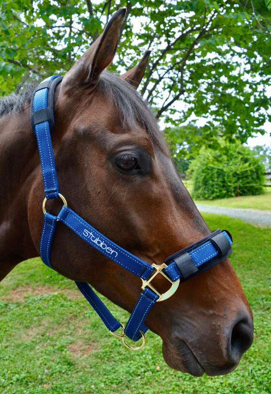 Stubben Reflective Stable Halter – Fair Hill Saddlery