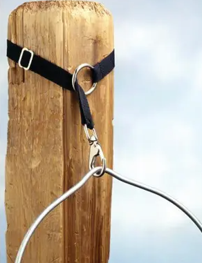 Shires Bucket Hook with Trigger Hook – Fair Hill Saddlery