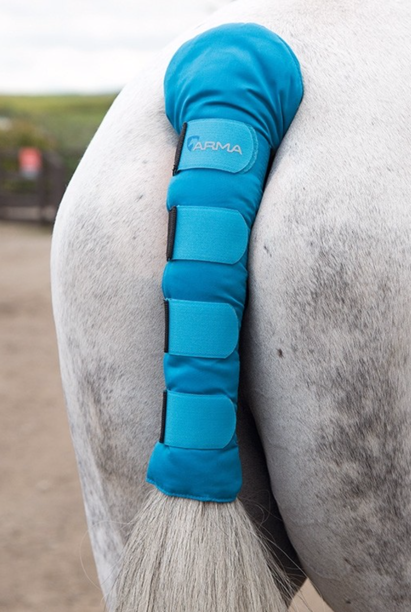 Shires ARMA Padded Tail Guard – Fair Hill Saddlery
